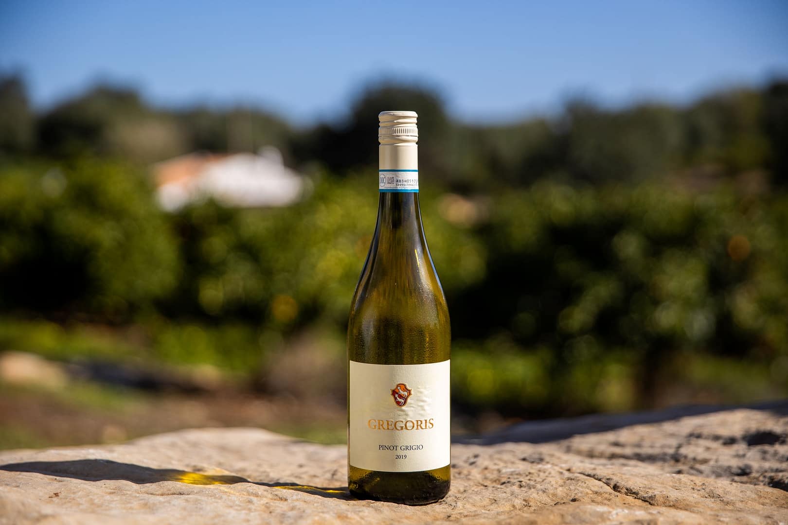 Pinot Grigio ‘Gregoris’ – Wines 2 Inspire | International Wines in ...
