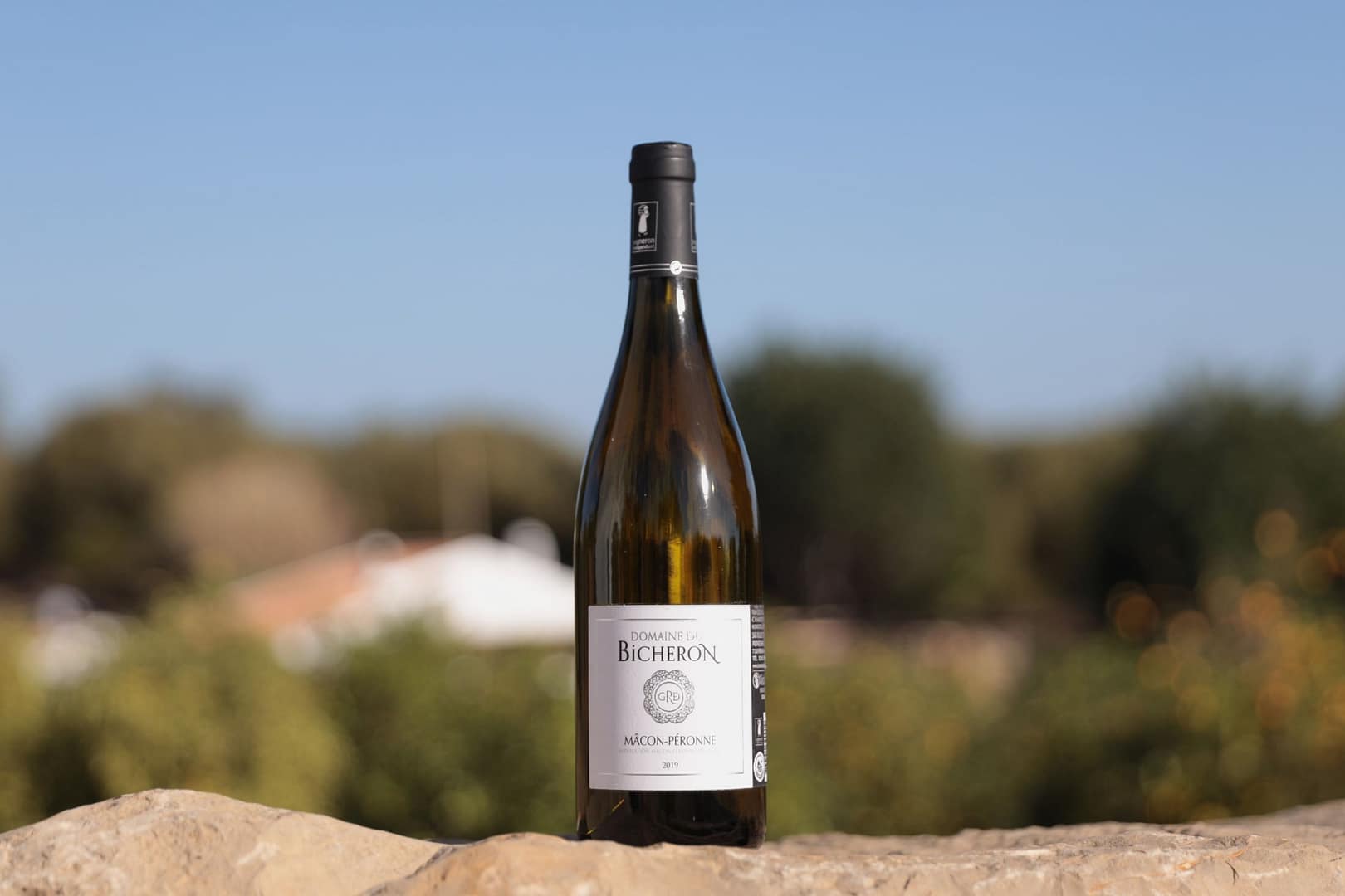 Mâcon-Péronne ‘Domaine de Bicheron’ – Wines 2 Inspire | International ...