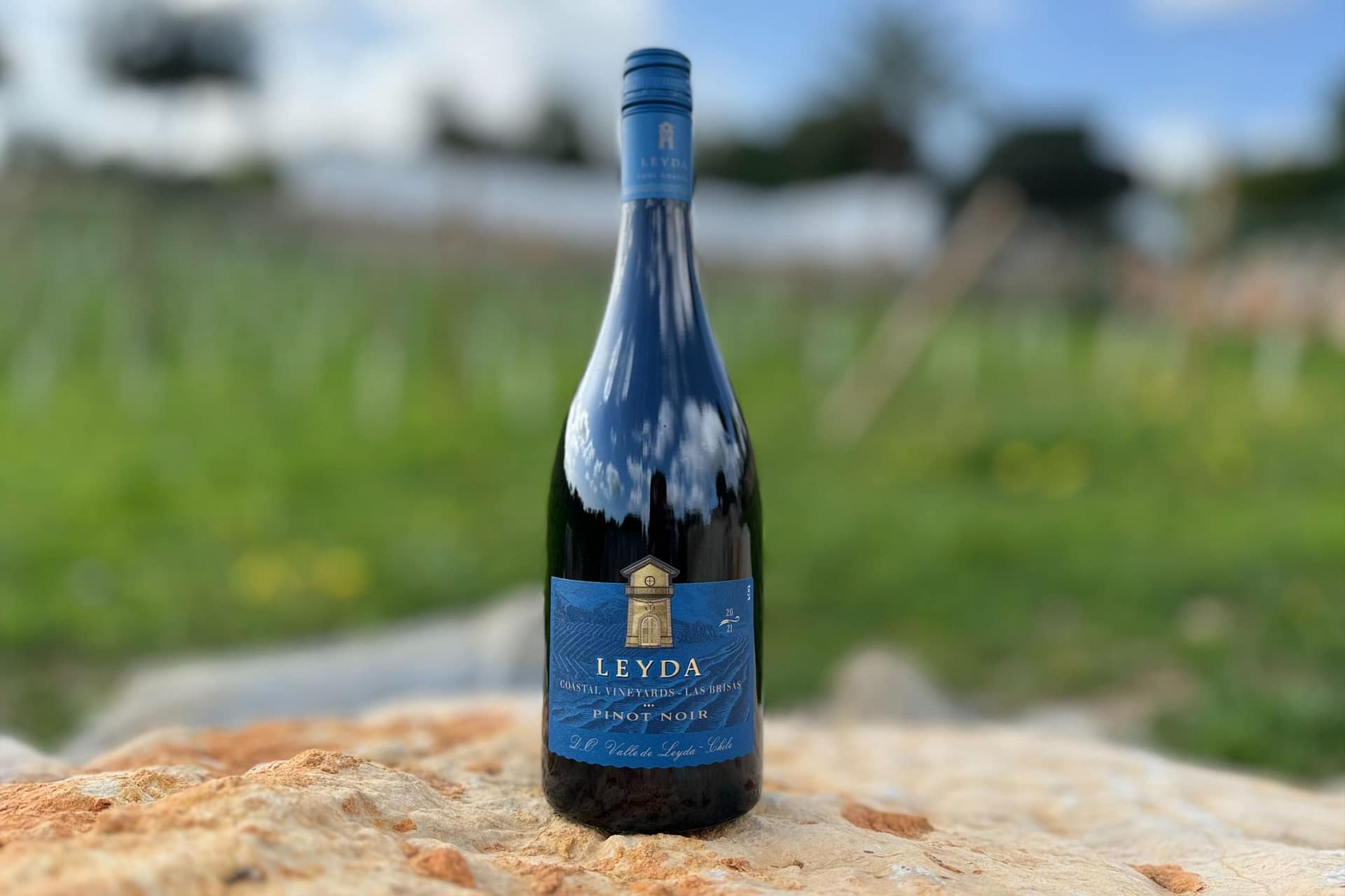 Leyda Pinot Noir Coastal Vineyard ‘Las Brisas’ – Wines 2 Inspire ...